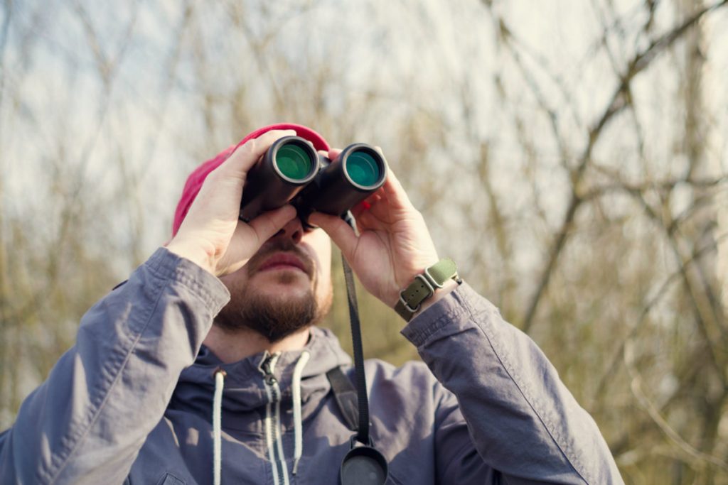 Basics of Birdwatching Class | The Castle Pines Connection